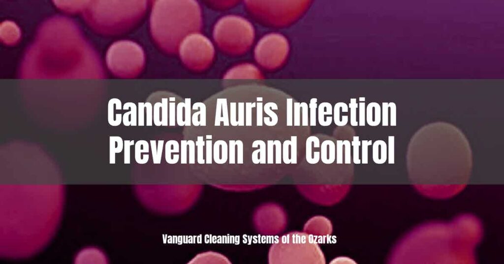 Candida Auris Infection Prevention and Control | Vanguard Cleaning ...